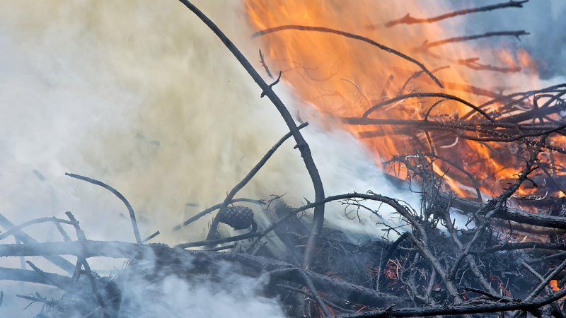 Forest fire fighting with water mist technology