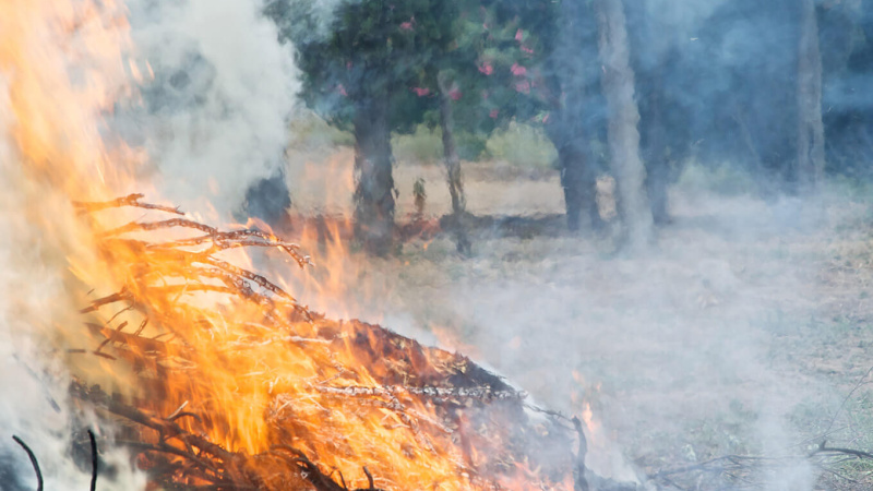 Forest fire fighting with water mist technology